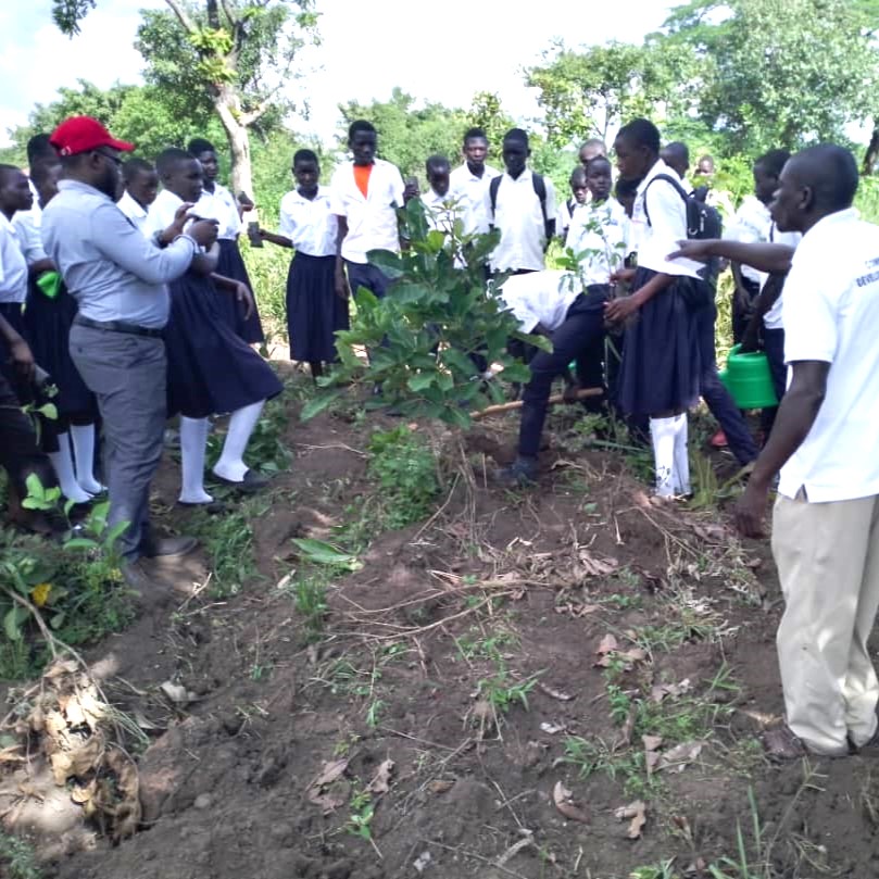 Uganda - Growing Trees