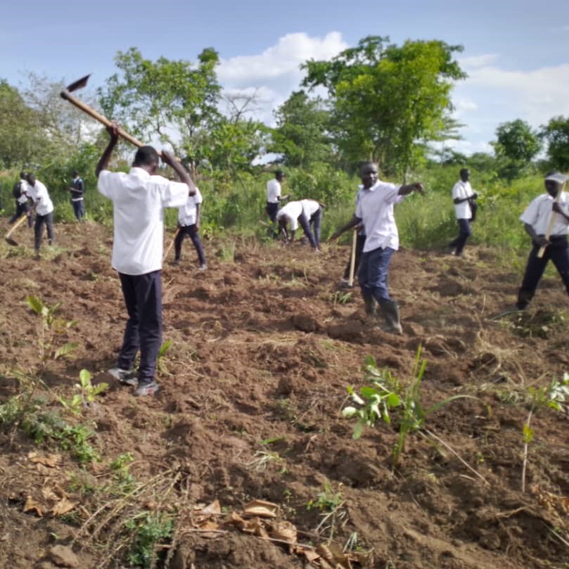 Uganda - Growing Trees